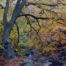 photographer | Doug Chinnery Photography