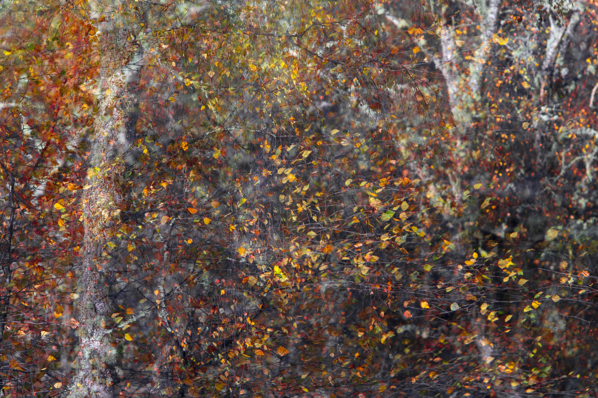 Doug Chinnery Photography