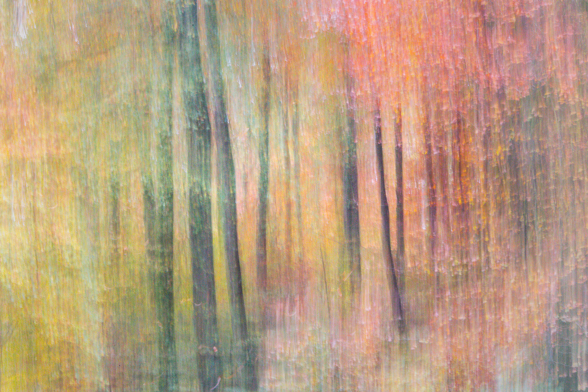 Doug Chinnery Photography