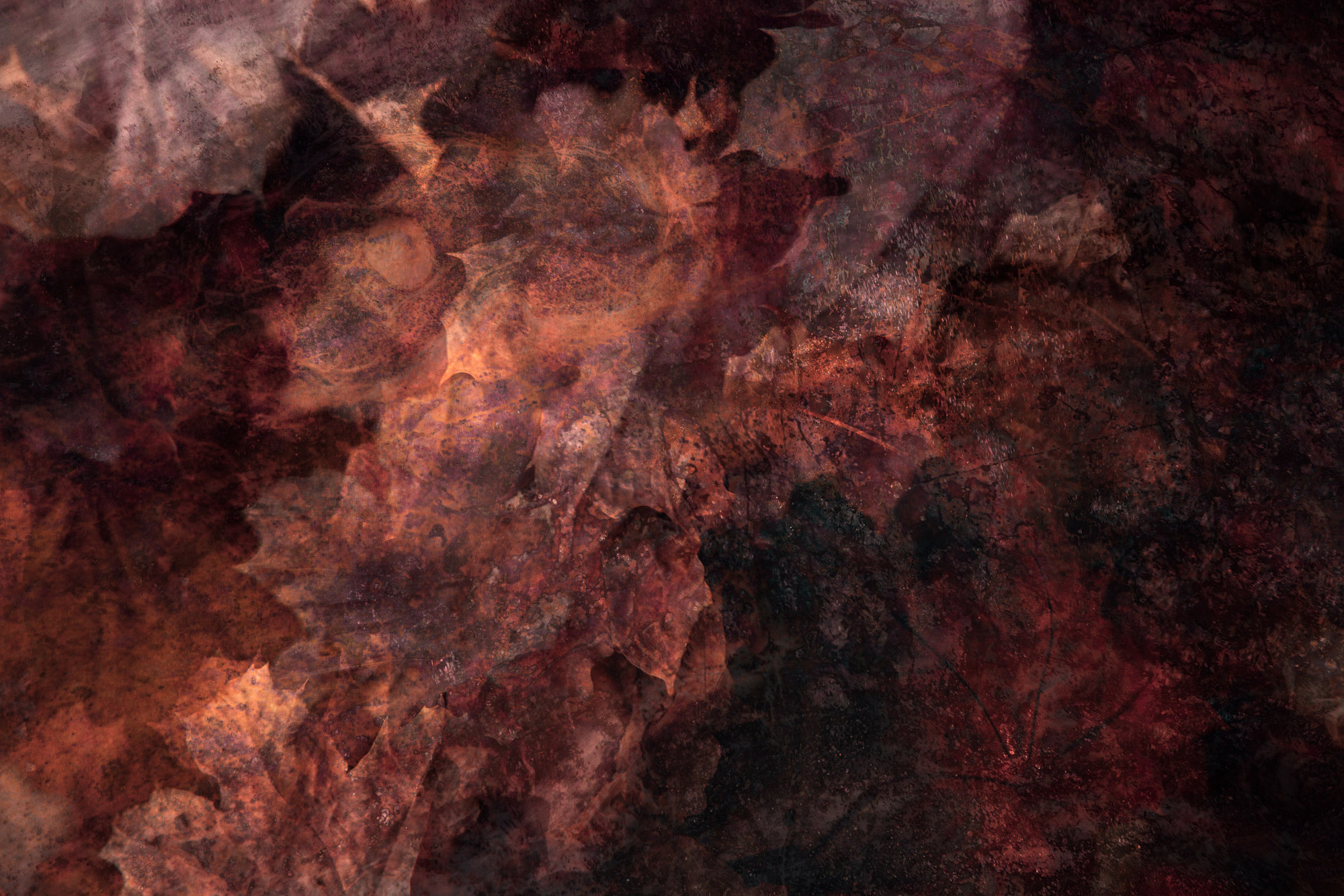 Doug Chinnery Photography