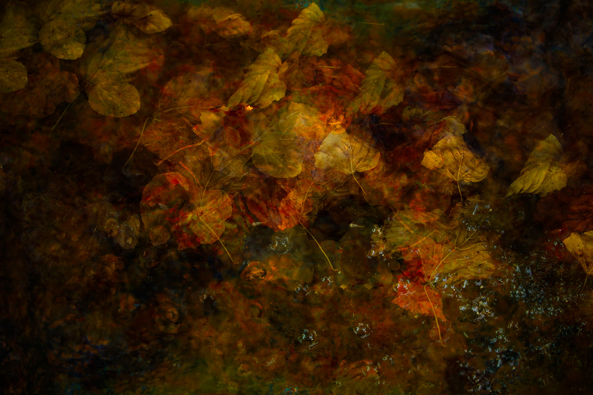 Doug Chinnery Photographic Expressionism